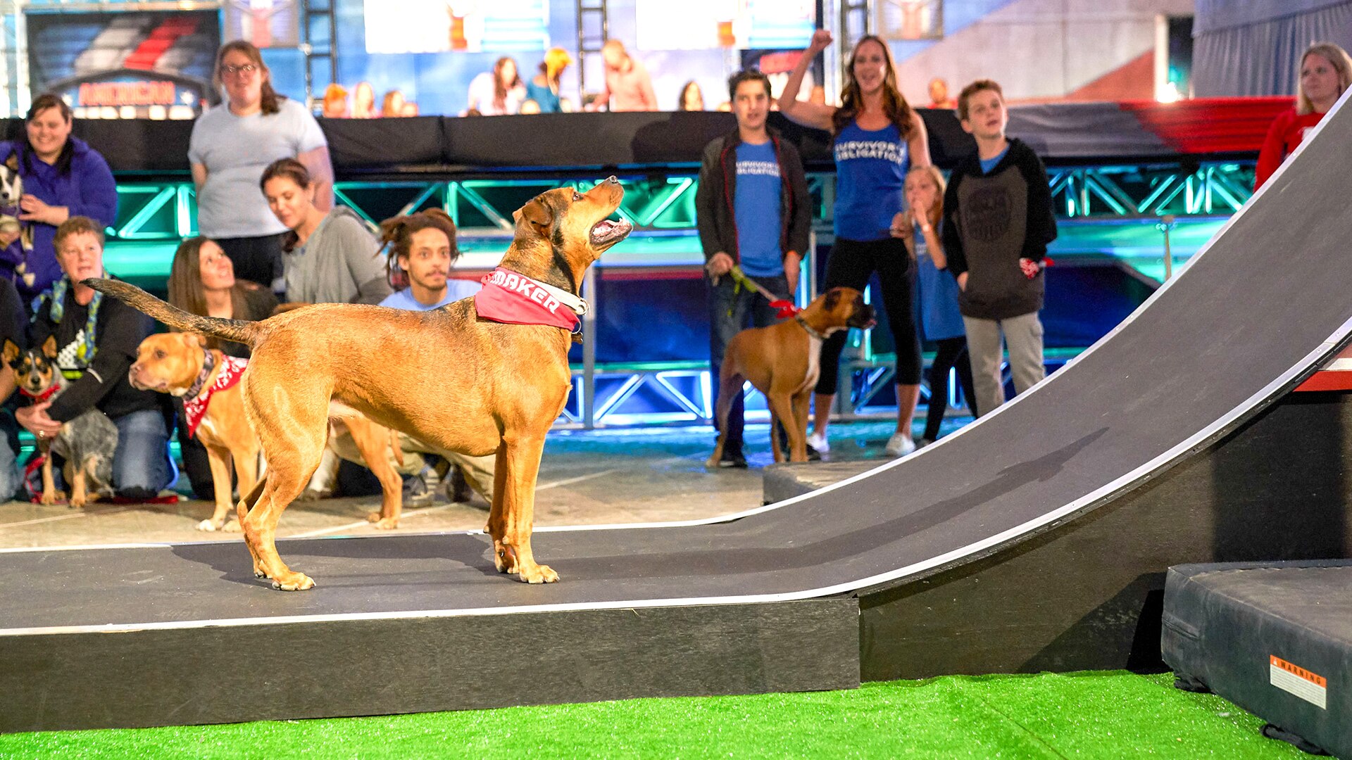 Watch American Ninja Warrior Highlight: The Doggy Warped Wall - NBC.com