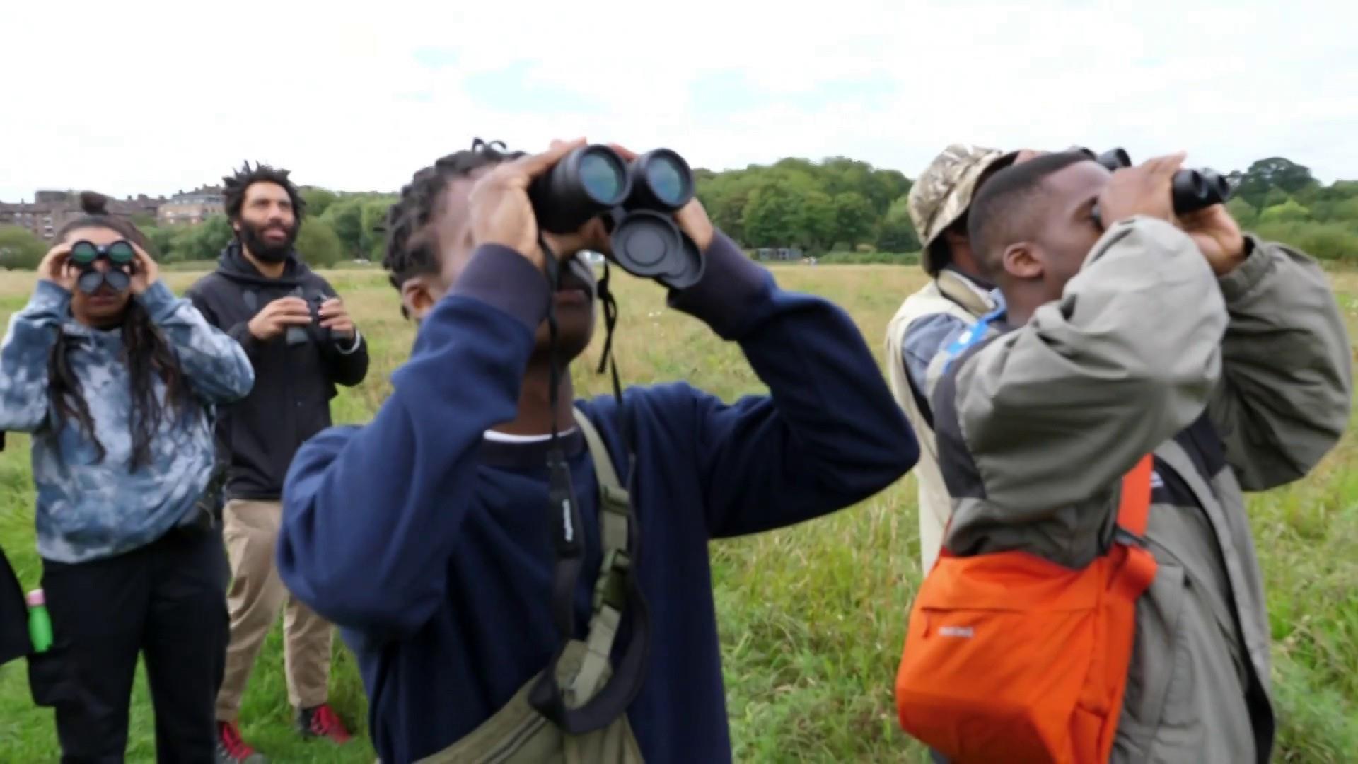 Watch TODAY Highlight: Bird-watching takes flight during the pandemic ...