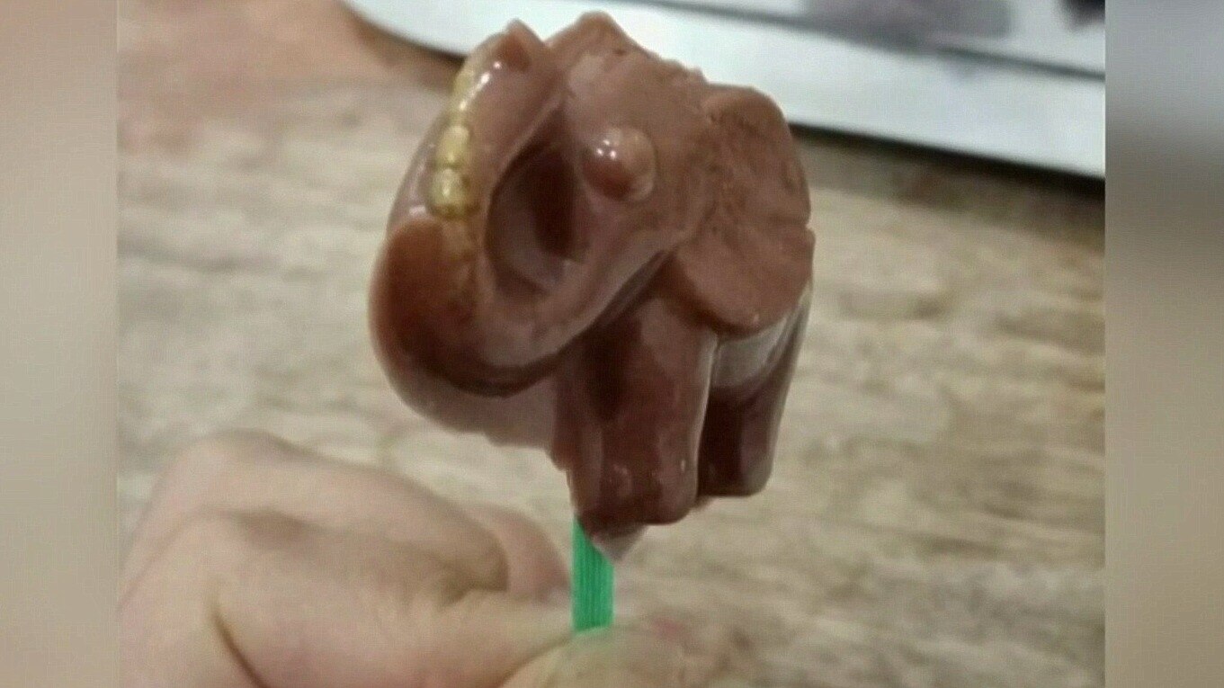 Watch Al Rojo Vivo Highlight: Venden chocolates cubiertos con insectos ...