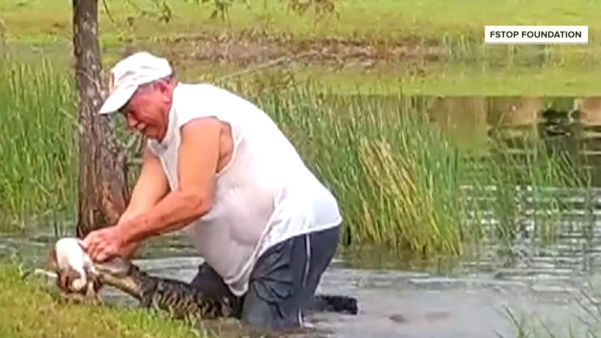 Watch TODAY Highlight: Video shows Florida man rescuing his puppy from ...