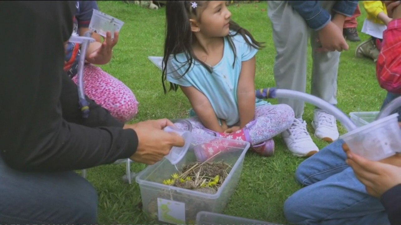 Watch Noticias Telemundo Mediodía Highlight: Talleres de insectos en ...