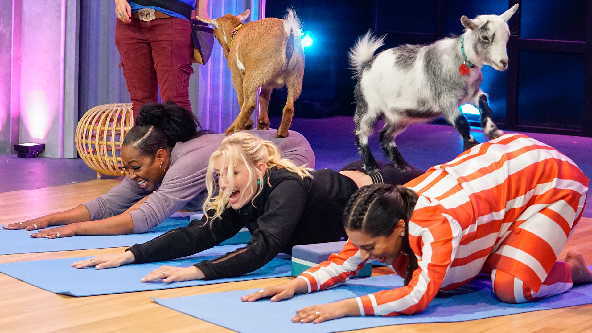 Watch A Little Late with Lilly Singh Highlight: Goat Yoga with Beth ...