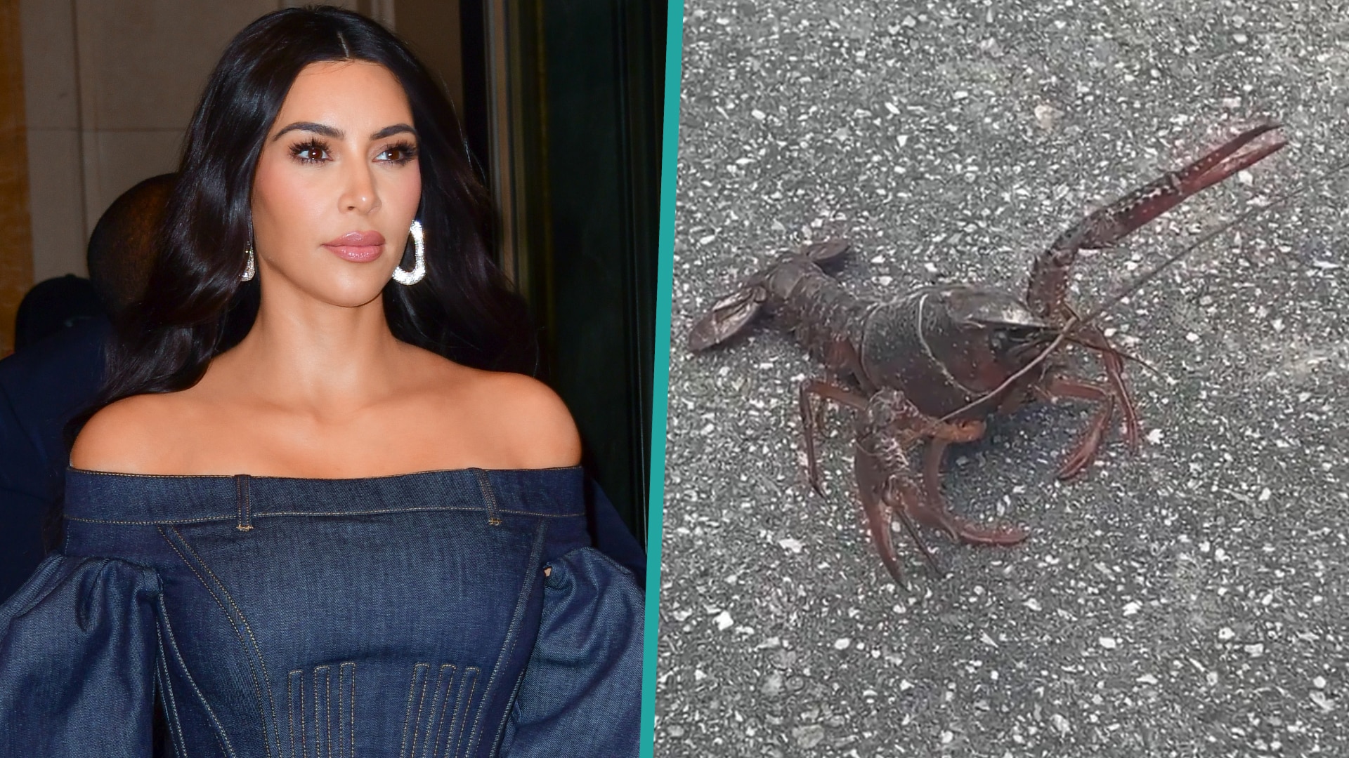 Watch Access Hollywood Interview: Kim Kardashian Finds Lobster Crawling ...