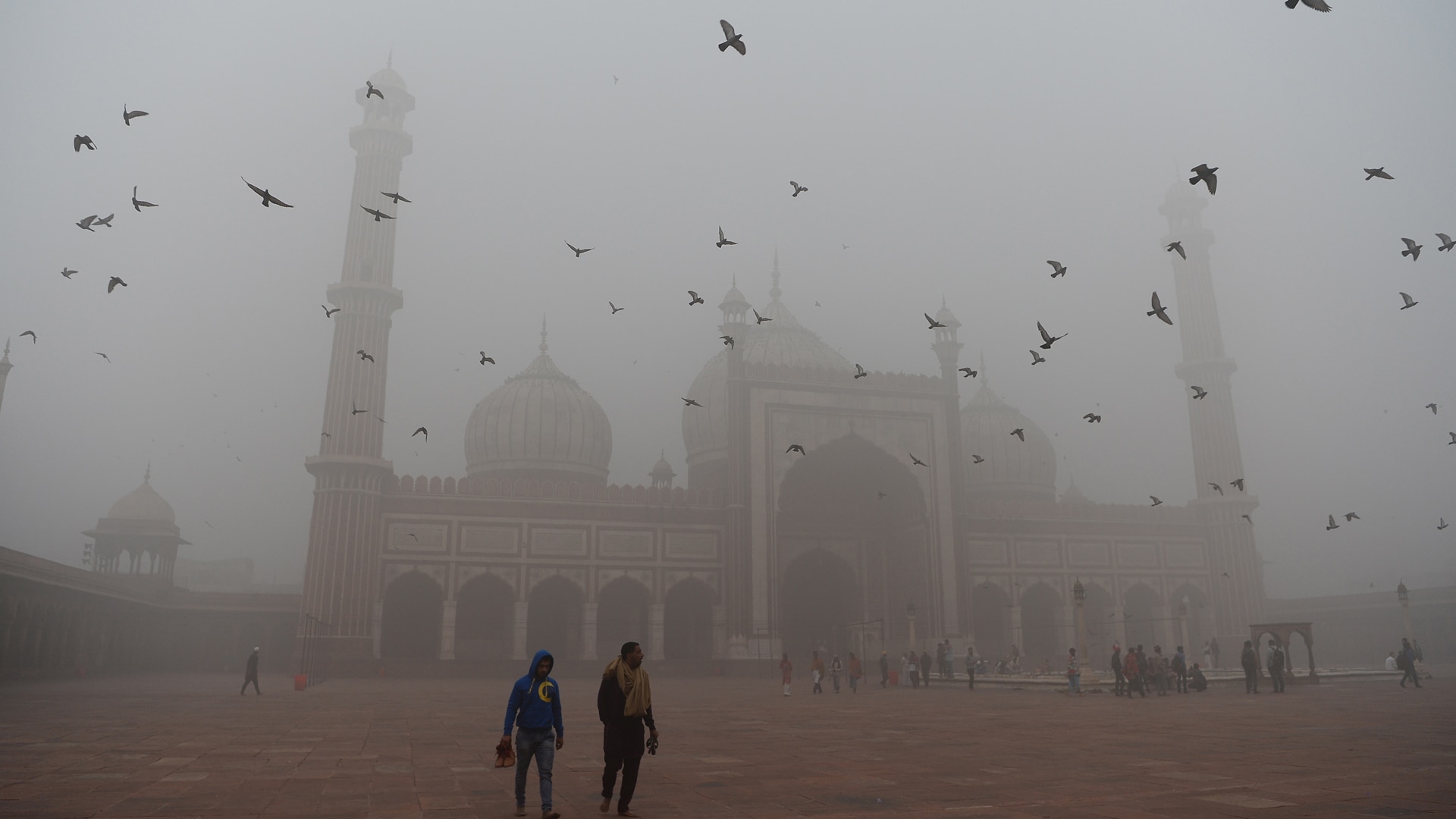 Watch Telemundo News Specials Highlight: Niveles de polución en el aire ...