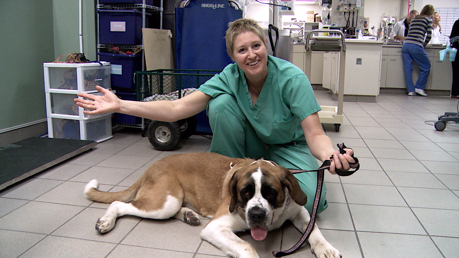 Watch Vets Saving Pets Episode: Patience of a Saint - NBC.com