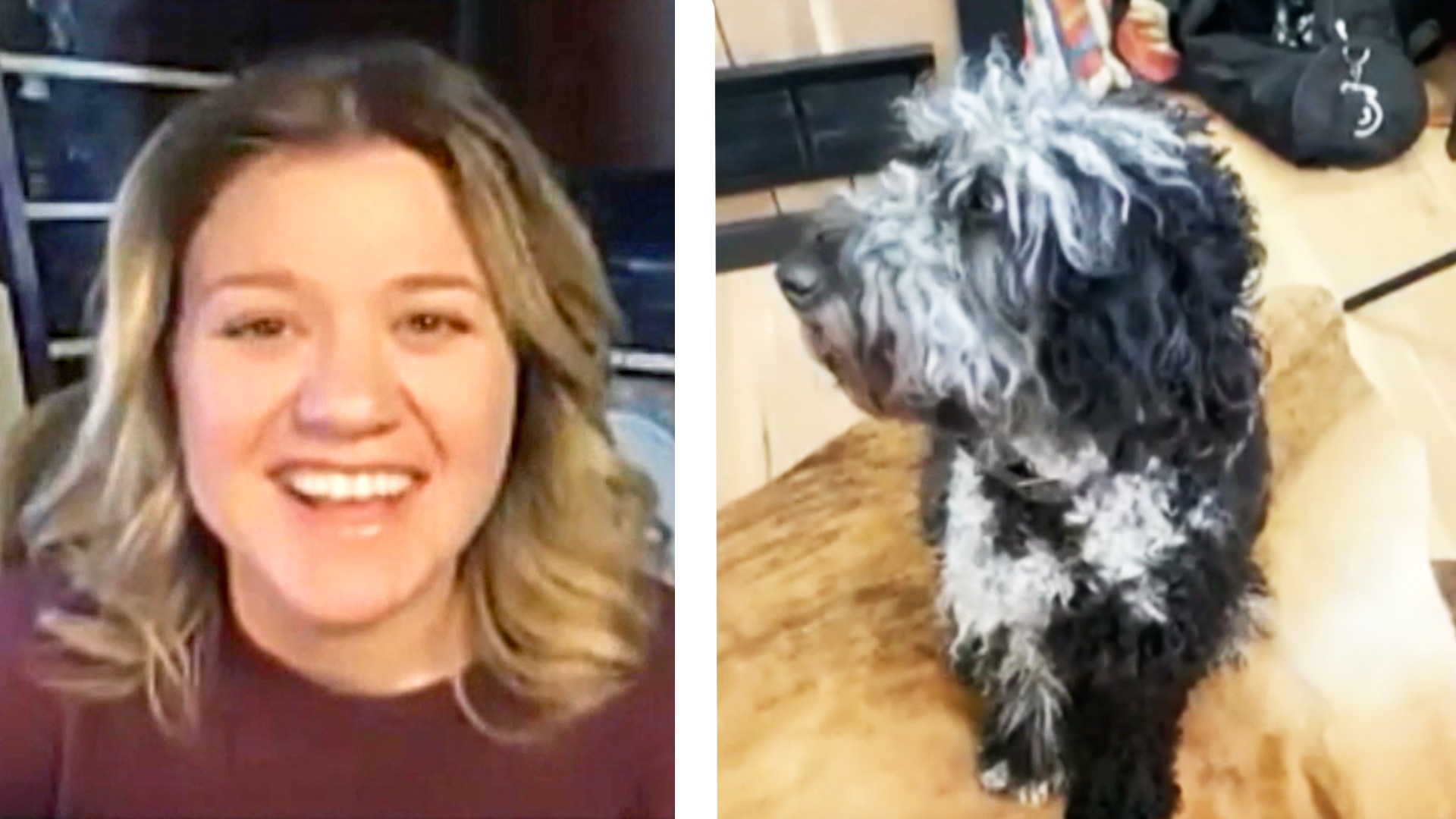 Watch The Kelly Clarkson Show - Official Website Highlight: Check Out ...