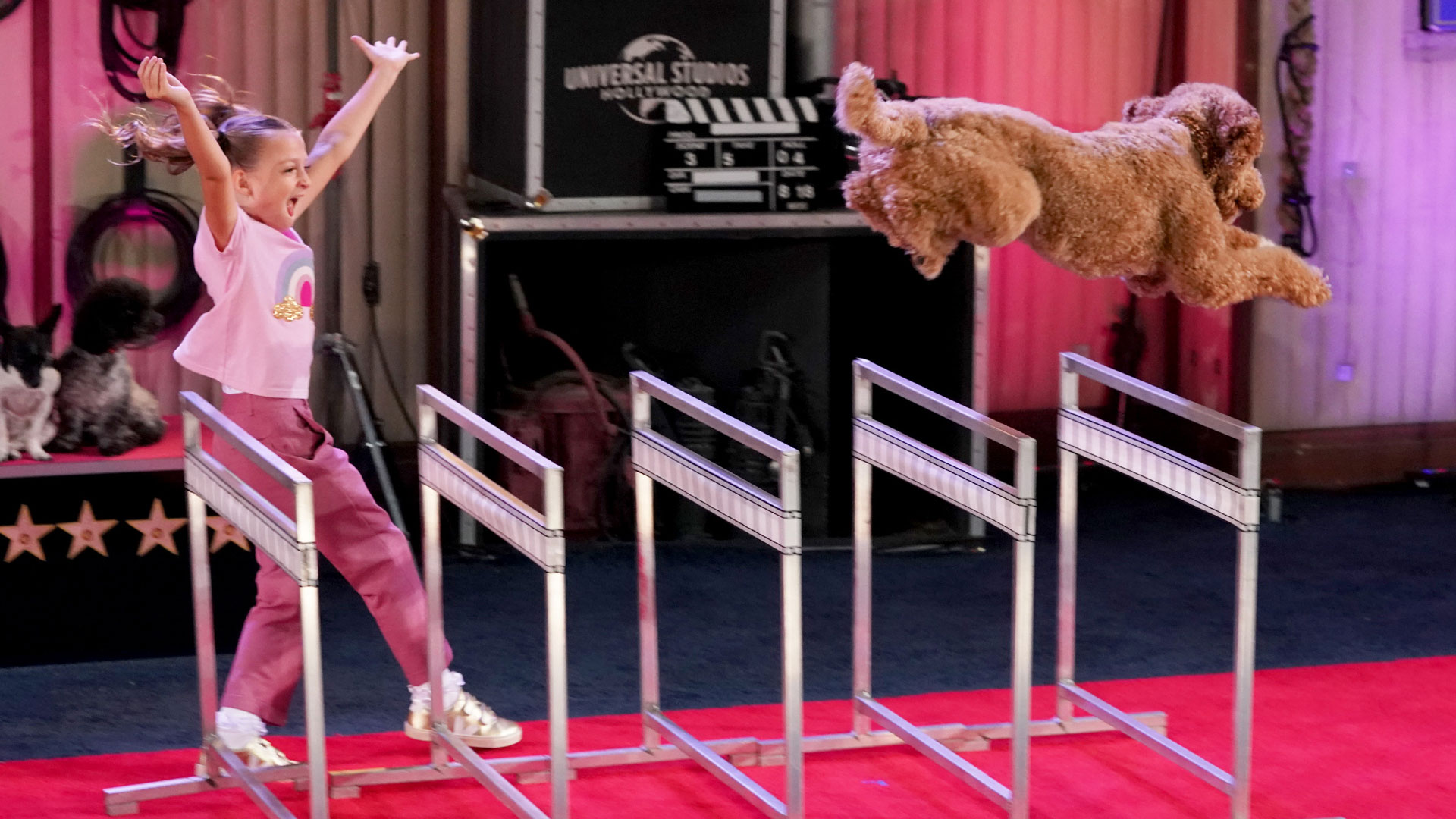 Watch America's Got Talent Highlight: Cutest Dogs Ever?! Alexis & The ...