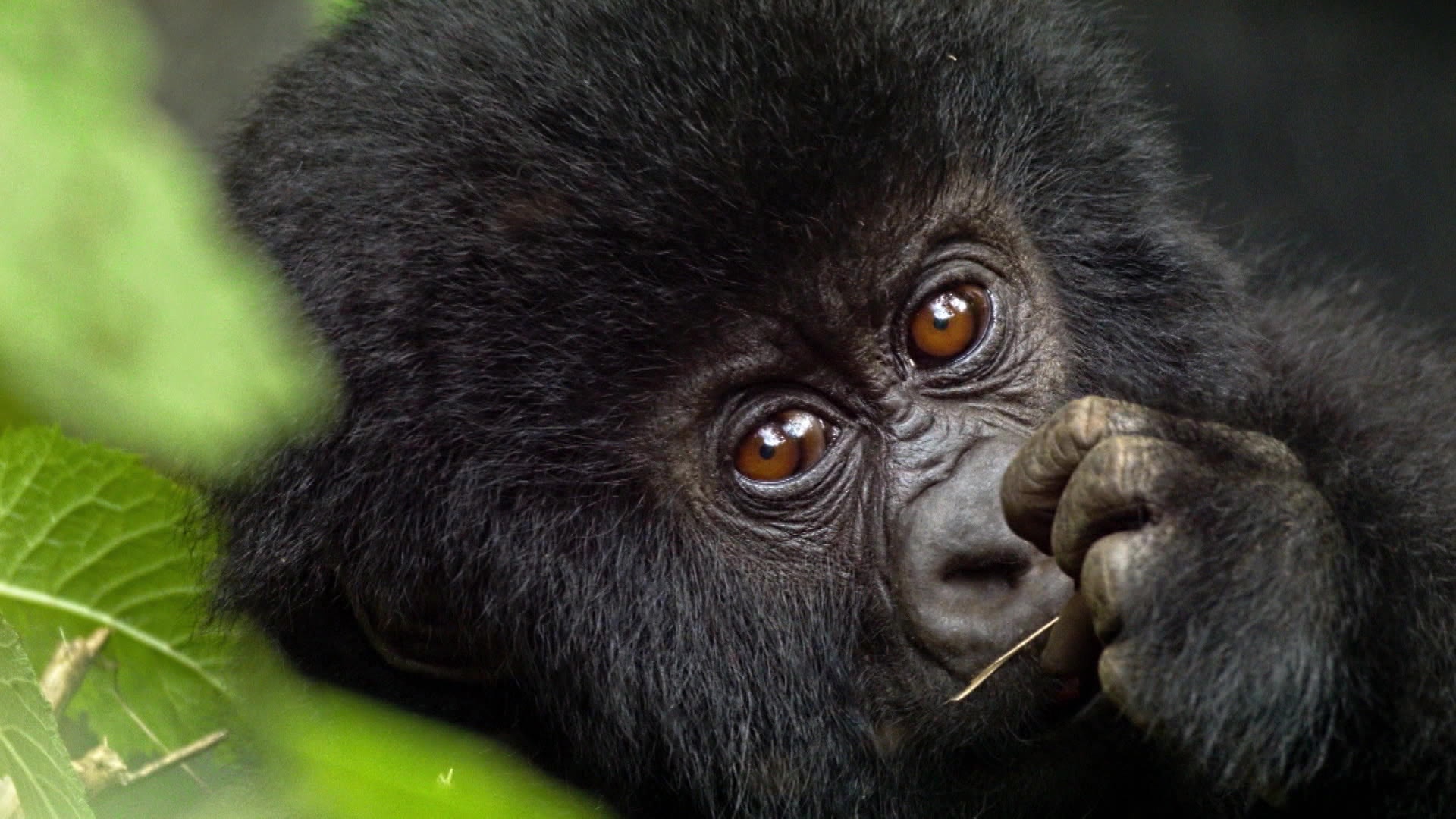 Watch Wild Child Episode: Autumn Lovin' - NBC.com