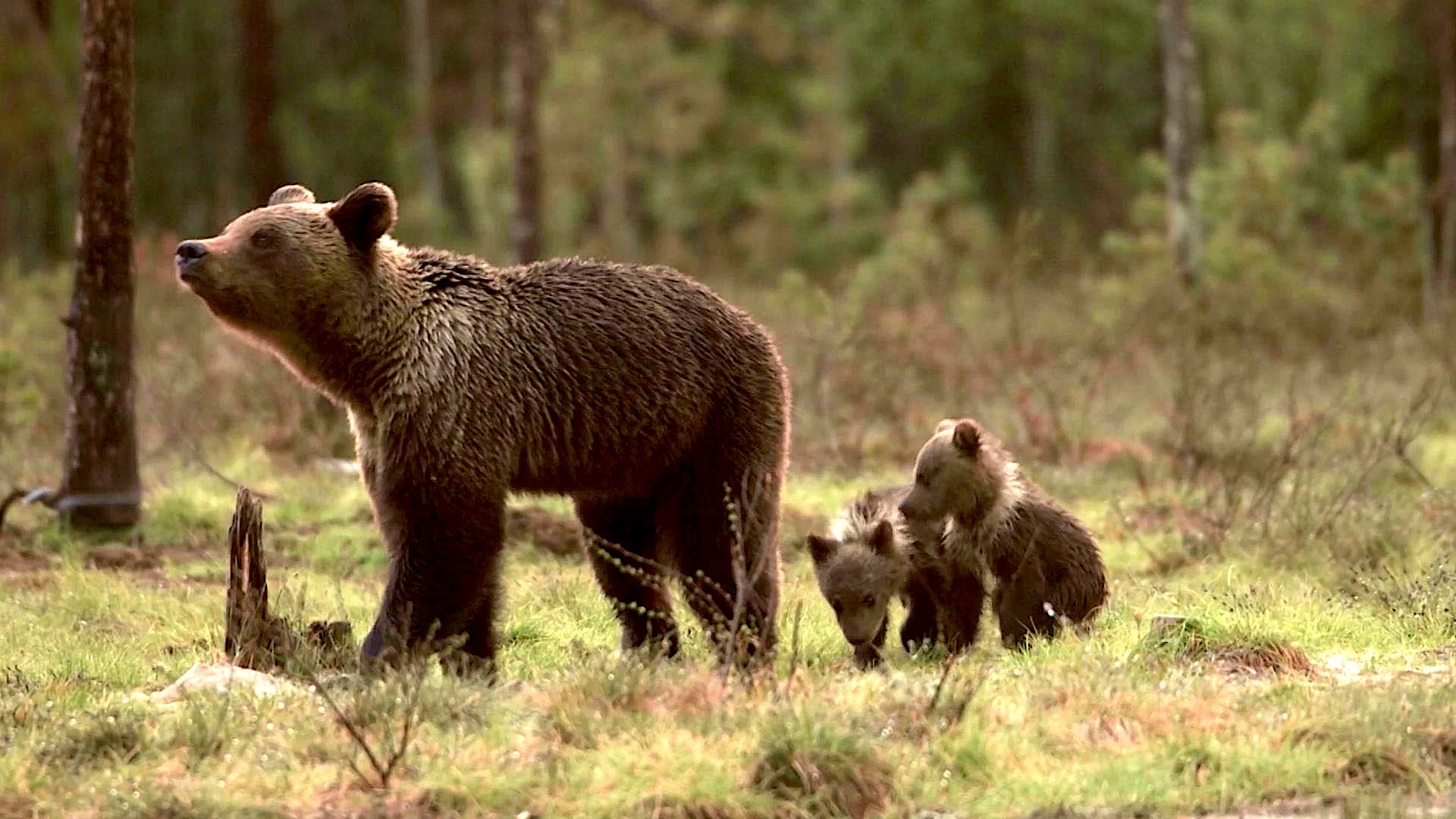 Watch Wild Child Episode: The Fall Years - NBC.com