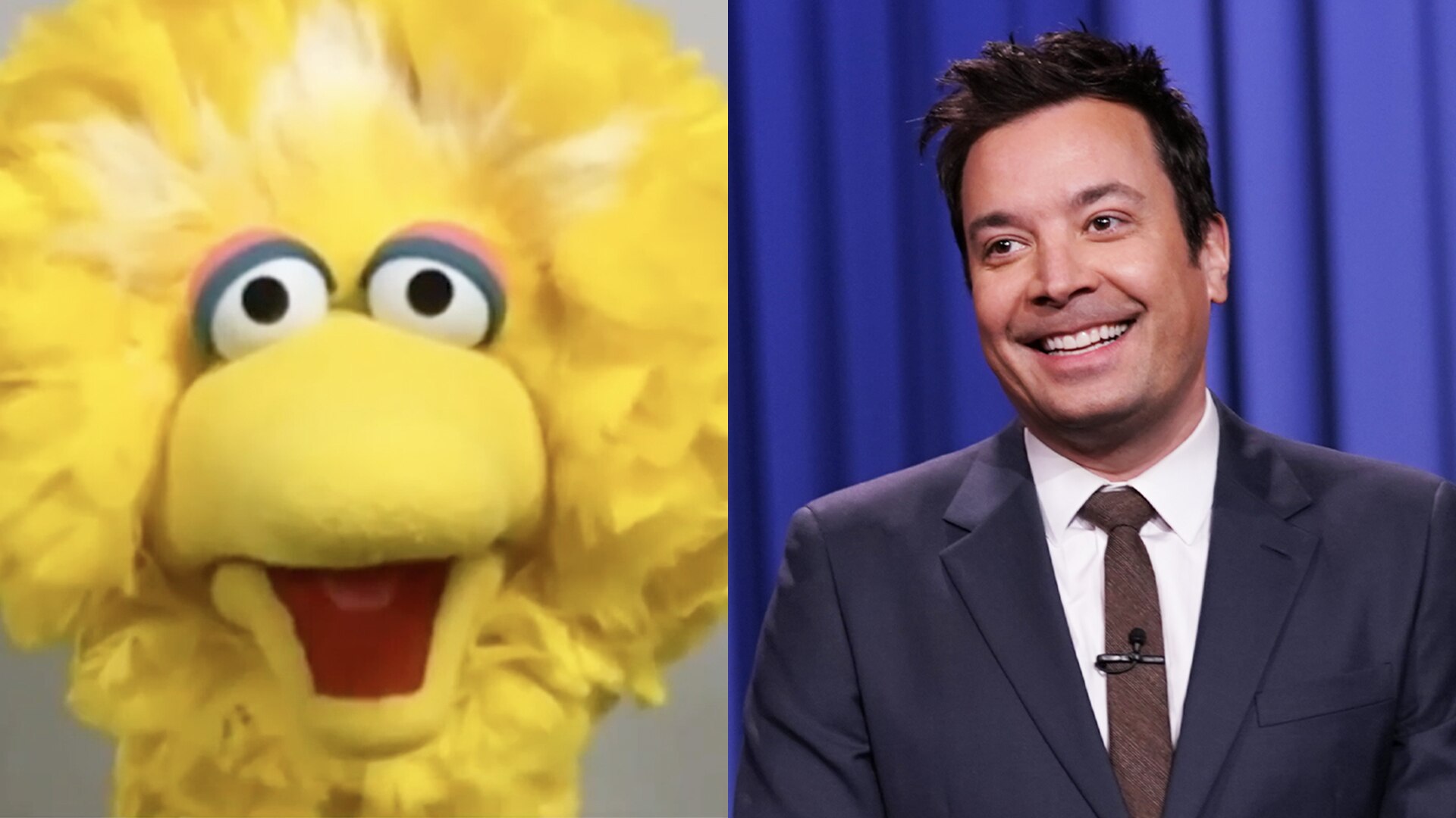 Watch The Tonight Show Starring Jimmy Fallon Highlight: Big Bird’s ...
