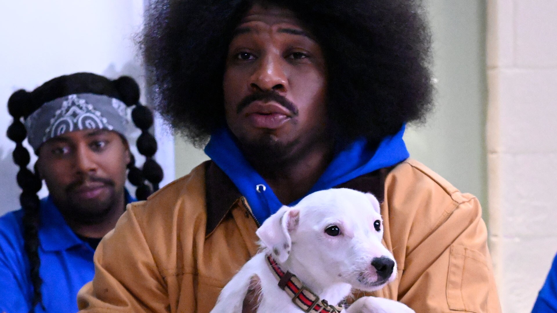 Watch Saturday Night Live Highlight: Pet Store Ad - NBC.com