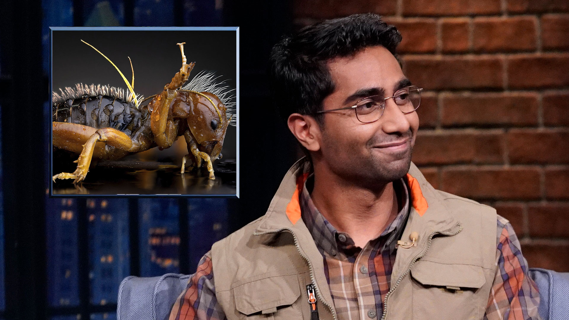 Watch Late Night with Seth Meyers Highlight: Seth Gets a Bug Named ...
