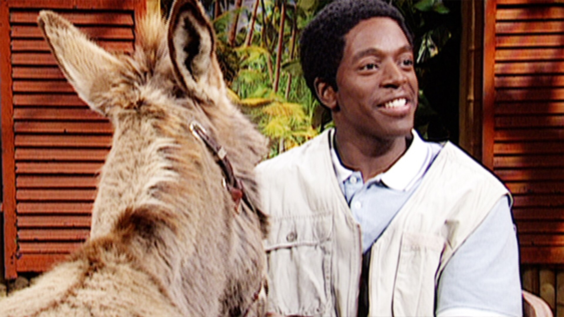 Watch Saturday Night Live Highlight: Brian Fellow's Safari Planet: A ...