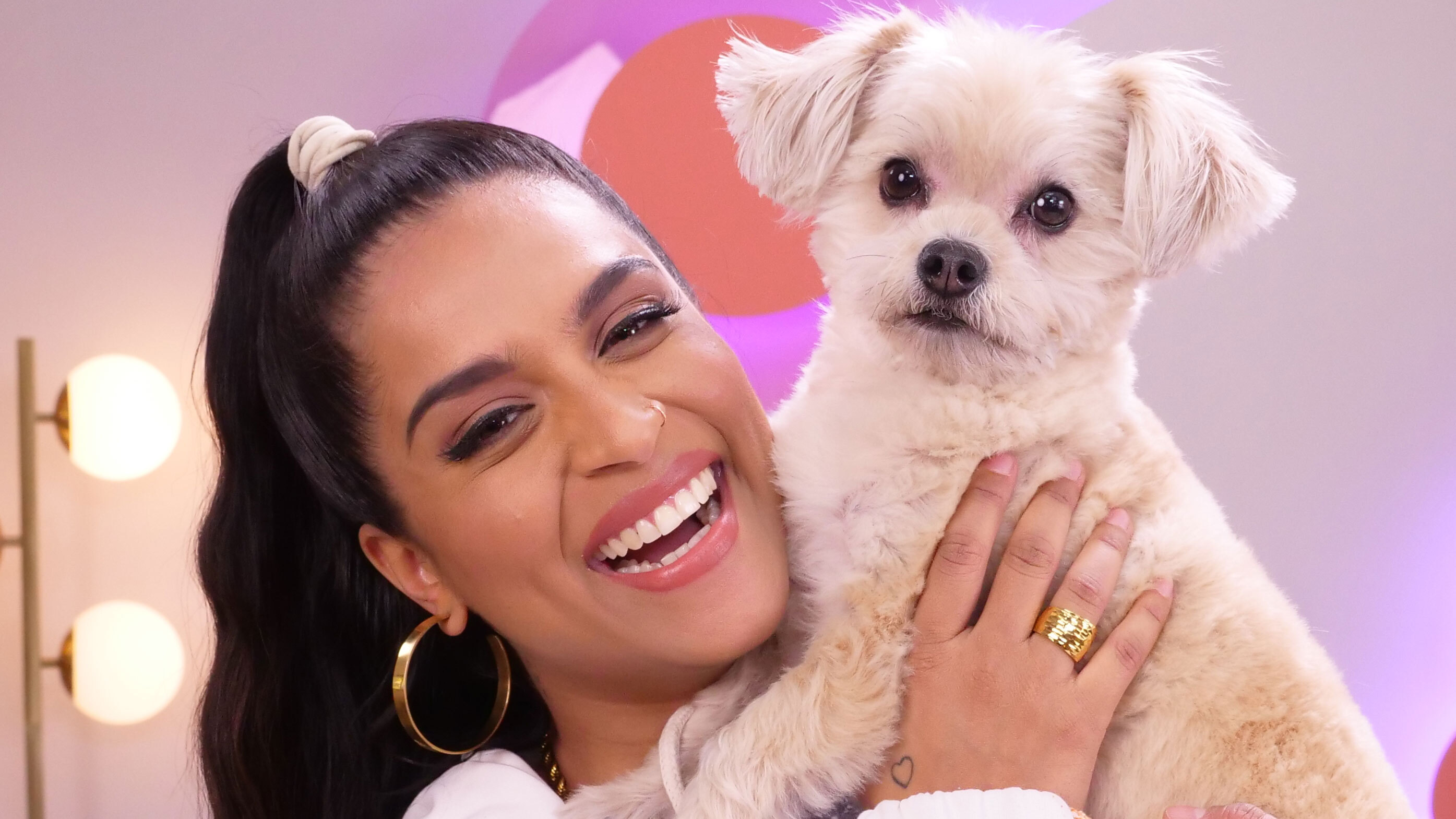 Watch A Little Late with Lilly Singh Highlight: Obedience Training for ...