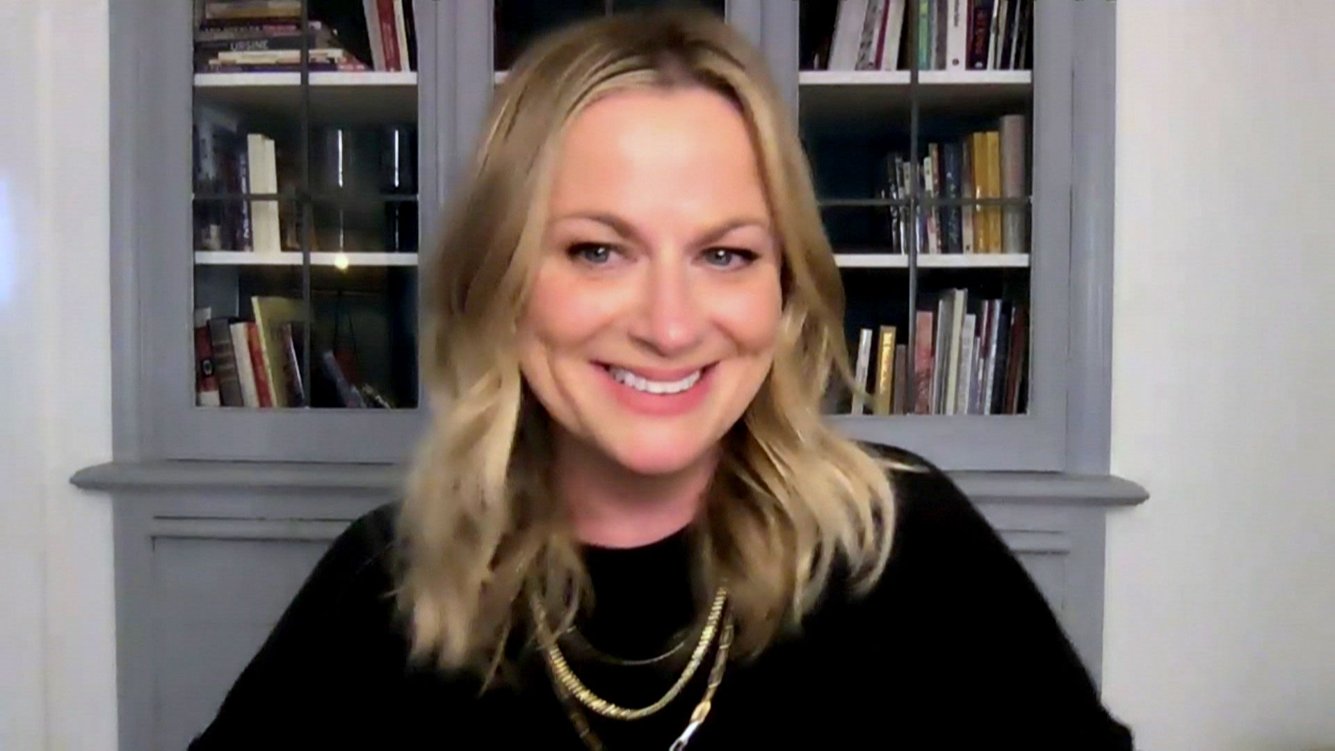 Watch Late Night with Seth Meyers Interview: Amy Poehler Doesn’t Like ...