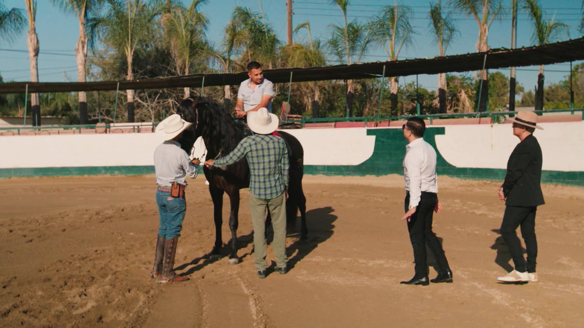 Watch Larrymania Highlight: Larry se prepara para su entrada triunfal ...