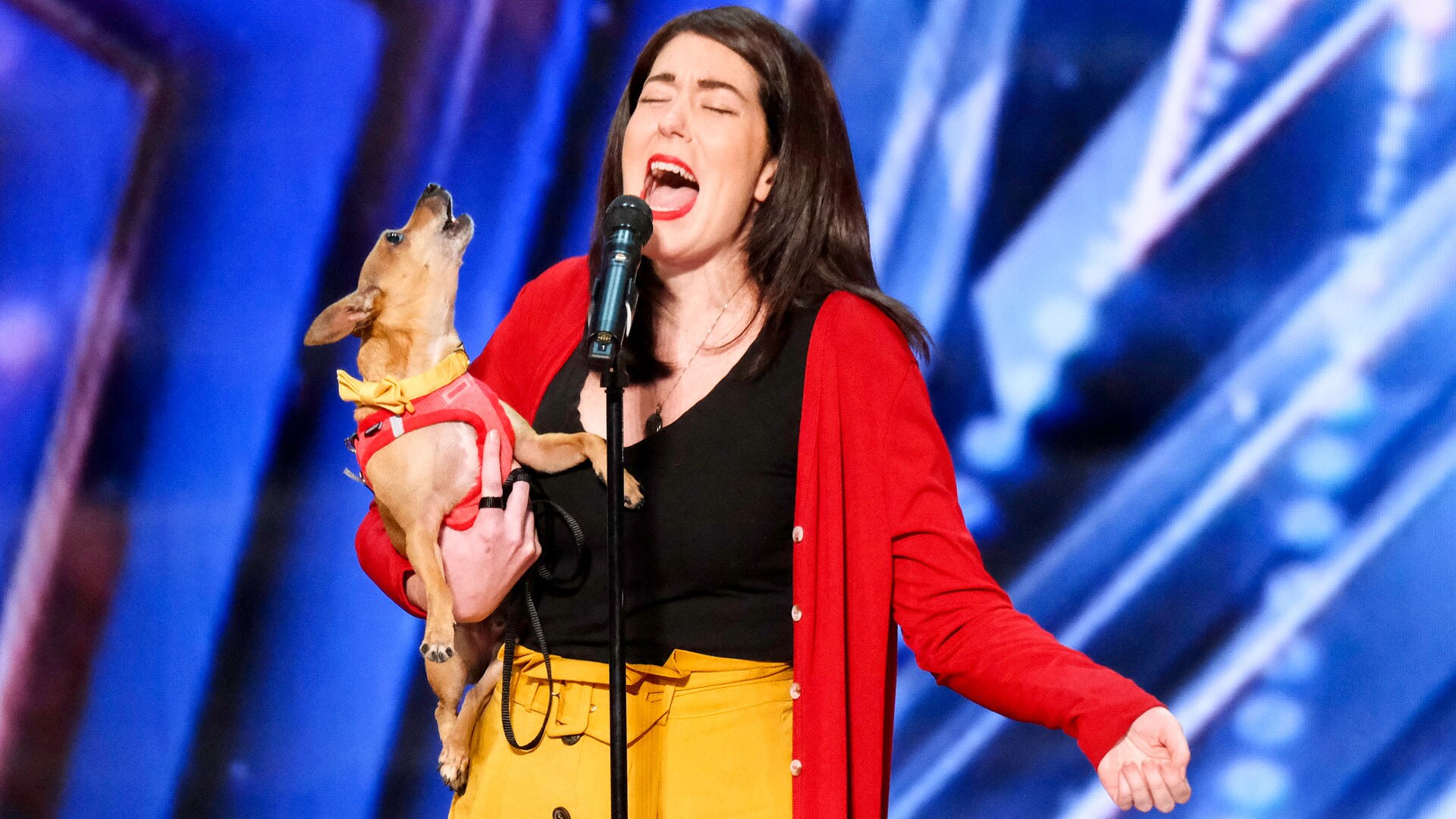 Watch America's Got Talent Episode: Auditions 4 - NBC.com