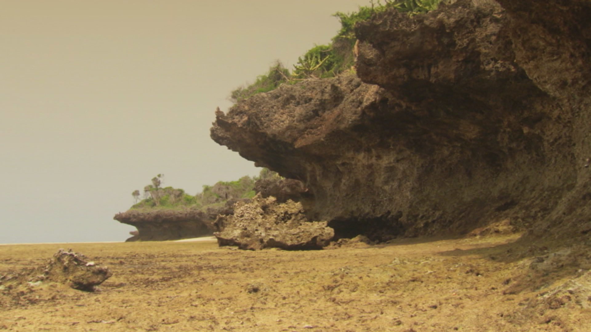 Watch Earth Odyssey with Dylan Dreyer Episode: Sandy Ecosystems - NBC.com