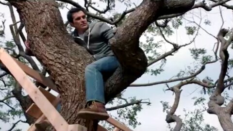 Watch Modern Family Episode: Treehouse - NBC.com