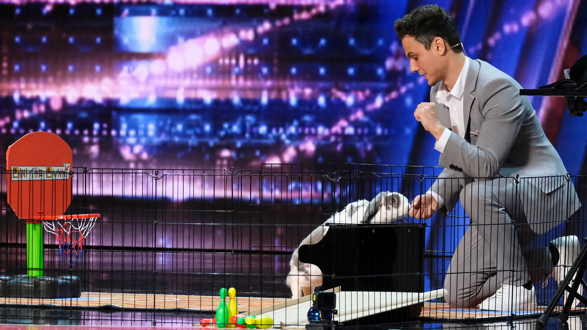 Watch America's Got Talent Highlight: Bini the Bunny Performs EPIC ...