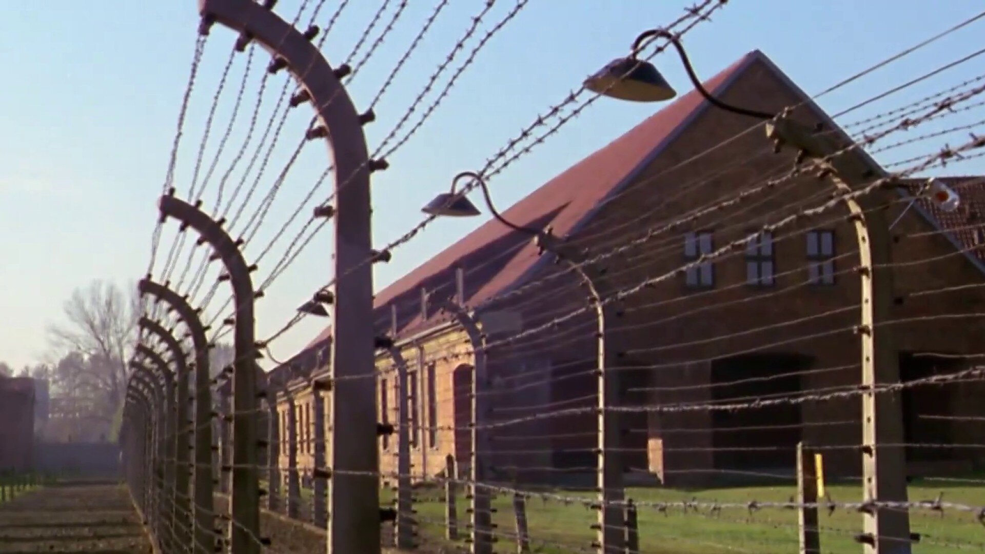 Watch NBC Nightly News with Lester Holt Excerpt: Holocaust Remembrance ...