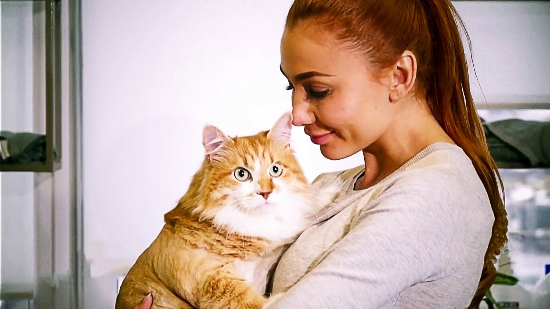 Watch En Casa con Telemundo Highlight: ¡Ronroneos gatunos a tu alcance ...