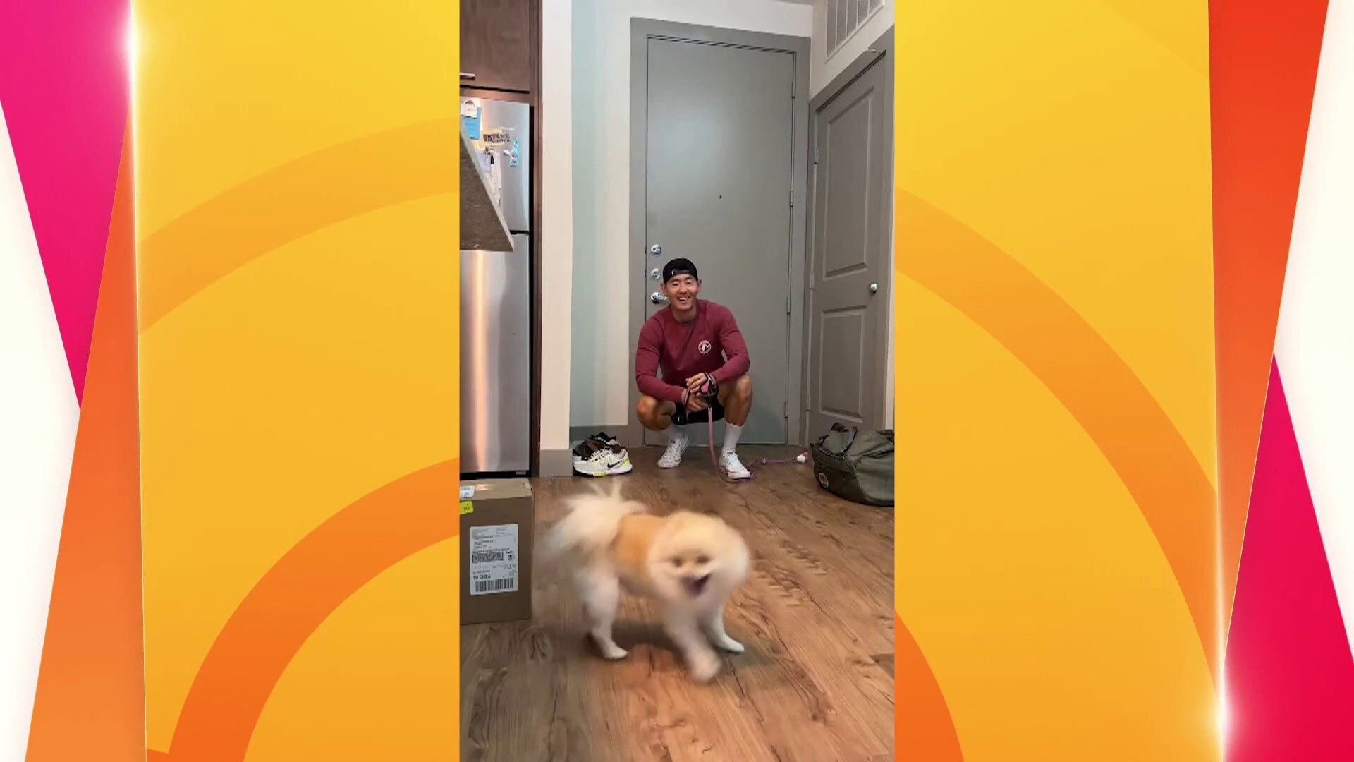 Watch TODAY Excerpt: Adorable dog gives new meaning to a ‘spin’ workout ...