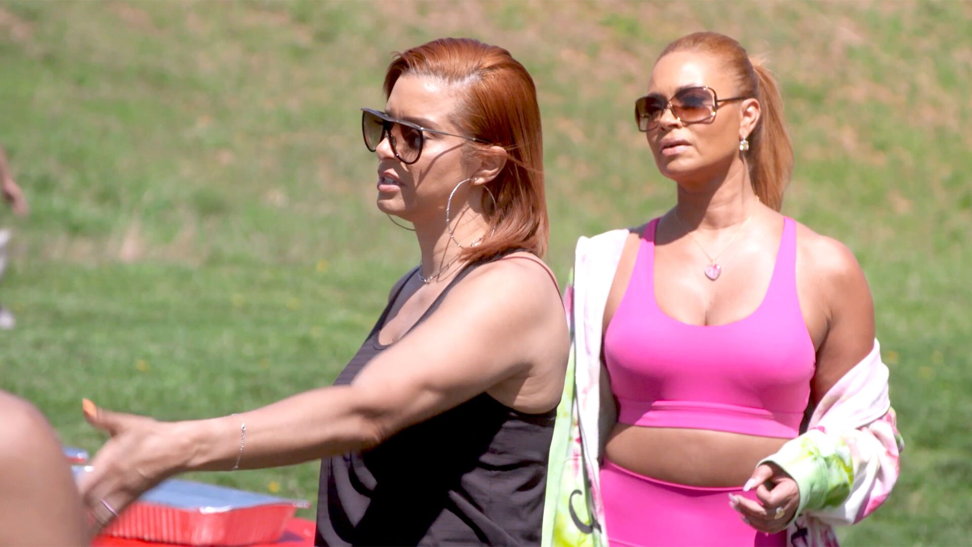 Watch The Real Housewives of Potomac Highlight: Karen Huger Thinks ...