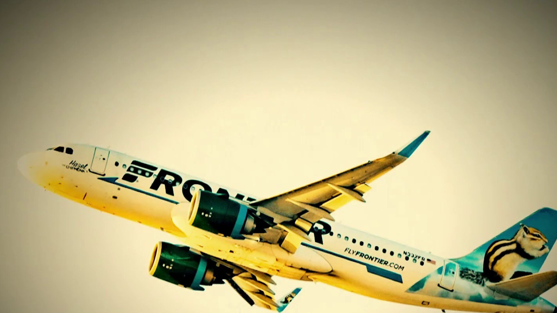 Watch NBC Nightly News with Lester Holt Excerpt: Suspect in custody ...