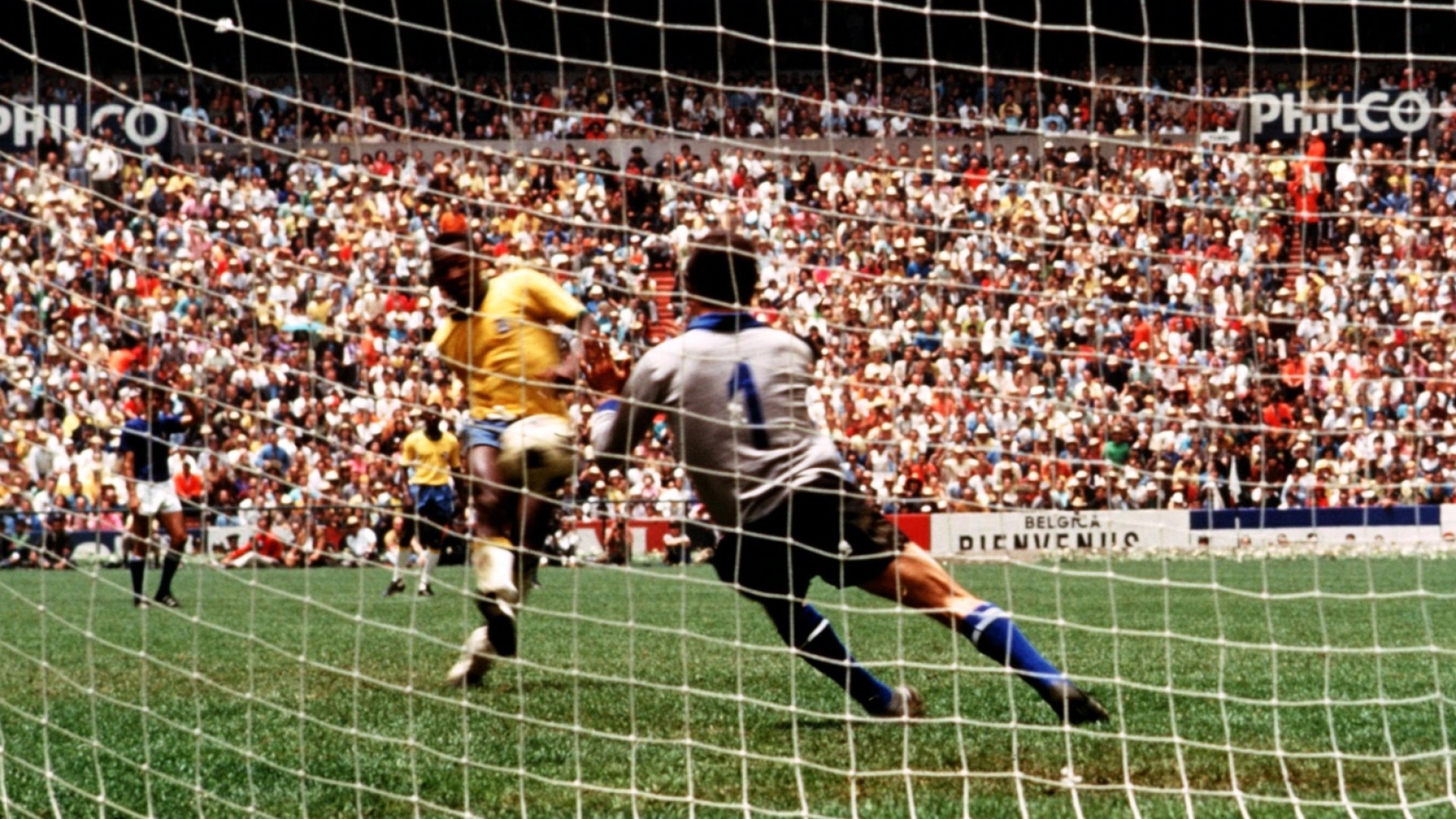 Watch Noticias Telemundo Highlight: En video: Estas fueron las jugadas ...