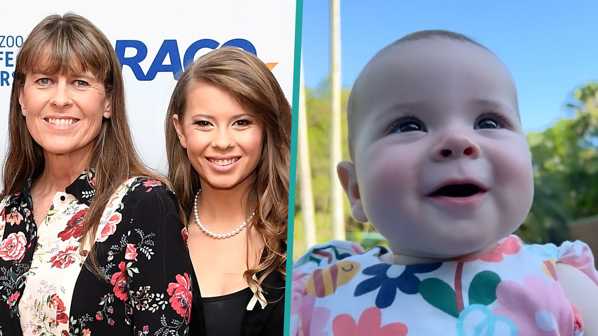 Watch Access Hollywood Highlight: Terri Irwin Says 'Perfect ...