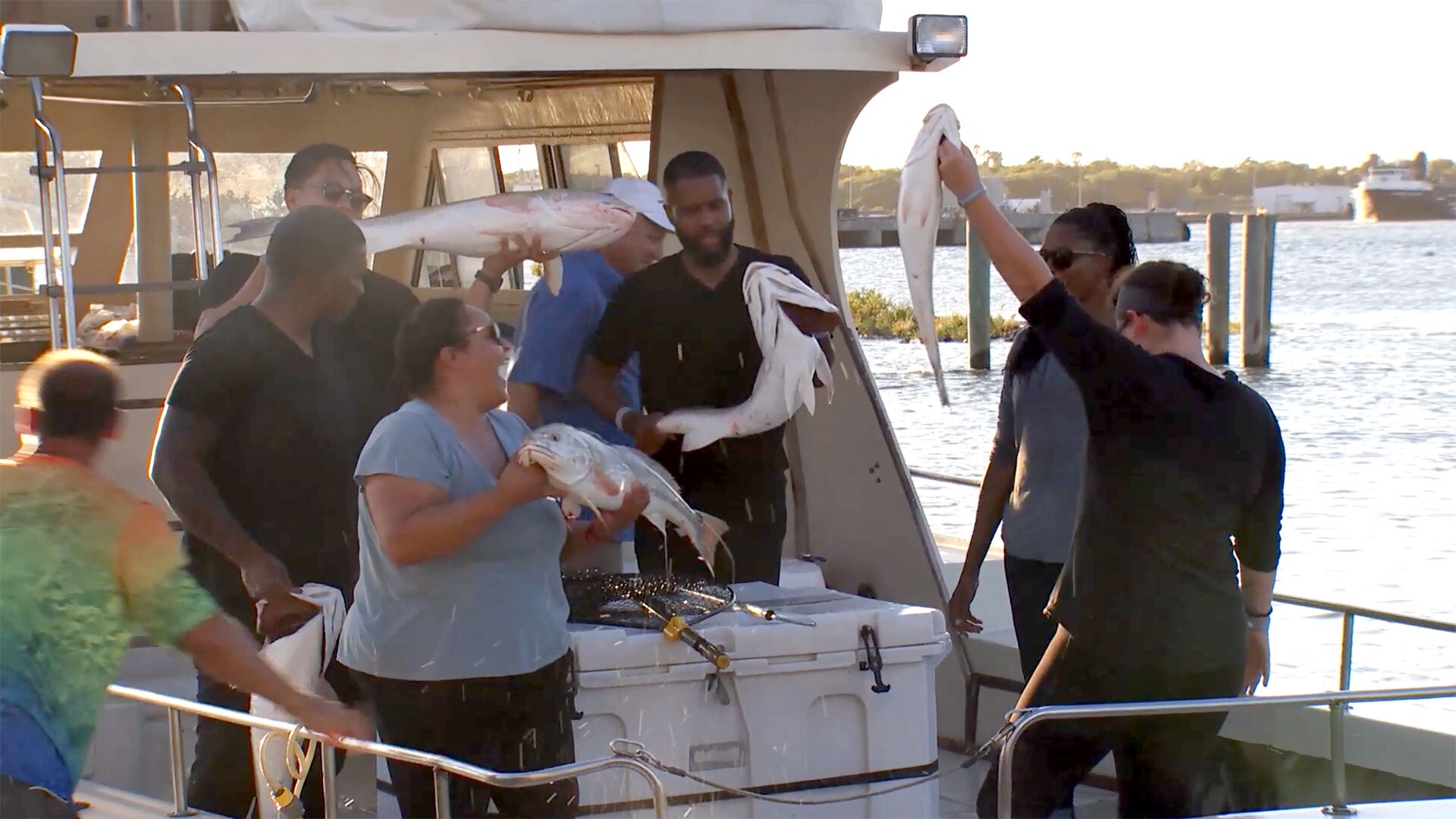 Watch Top Chef Highlight: Fishing for a Meal - NBC.com