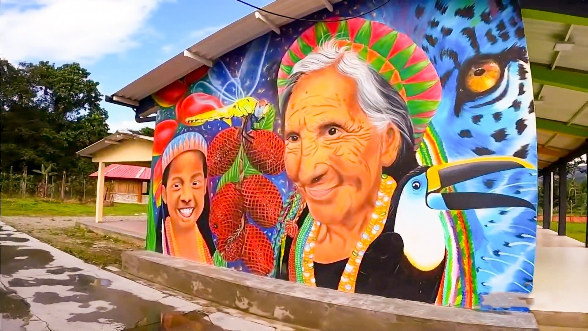 Watch Noticias Telemundo Mediodía Highlight: Artista indígena ...