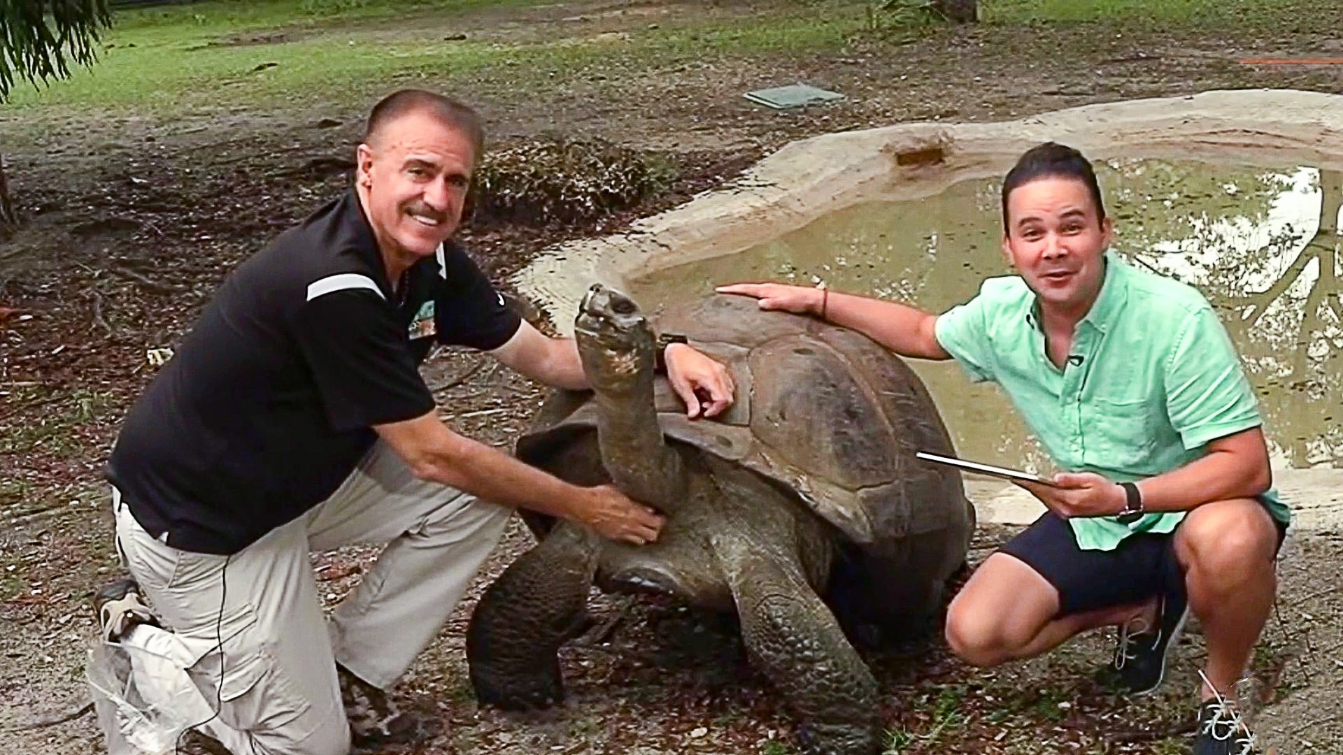 Watch Hoy Día Highlight: Una tortuga de más de 100 años es el animal ...