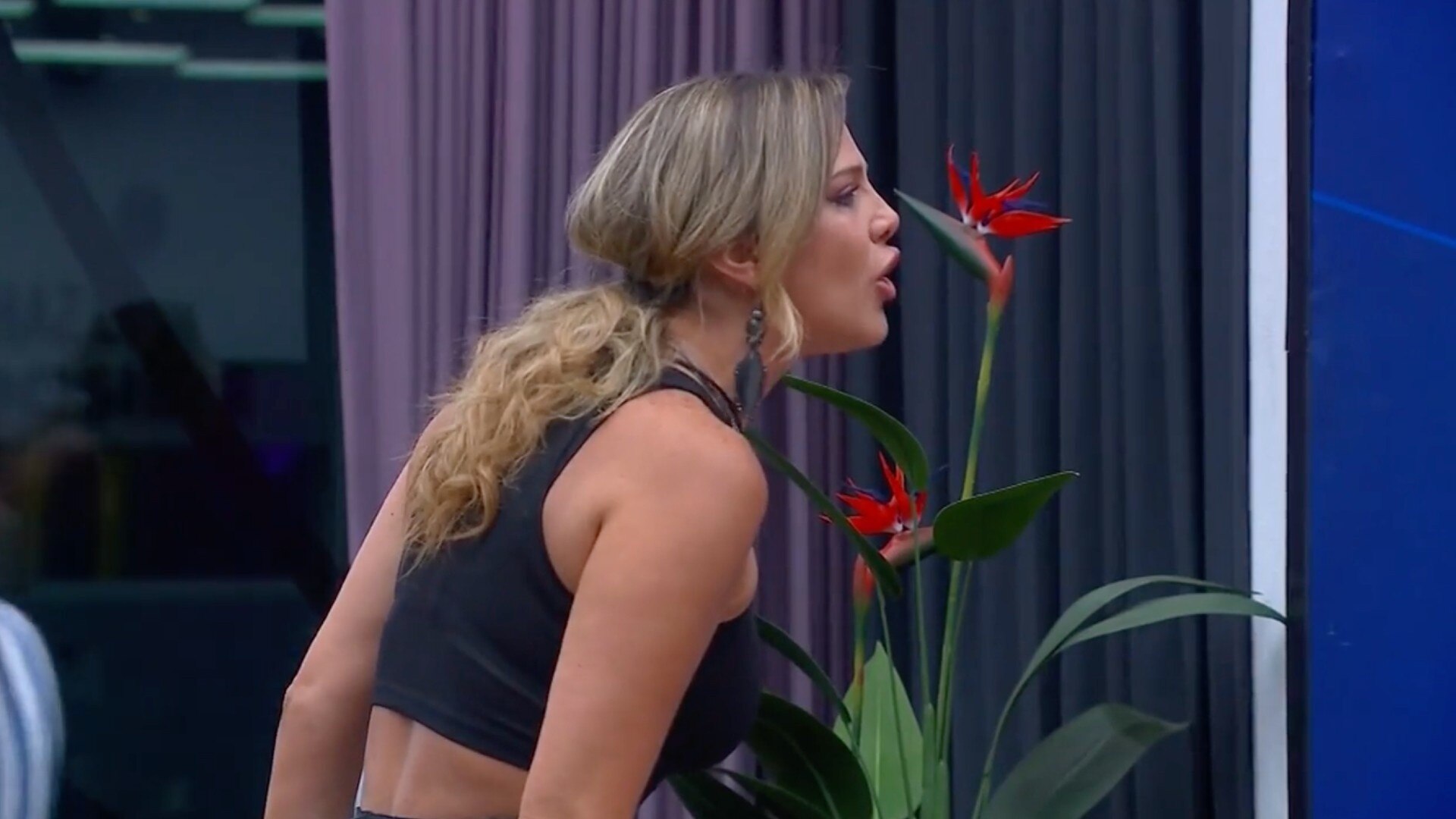 Watch La Casa de los Famosos Highlight: La Casa de los Famosos 2: El Potro saca chispas - NBC.com