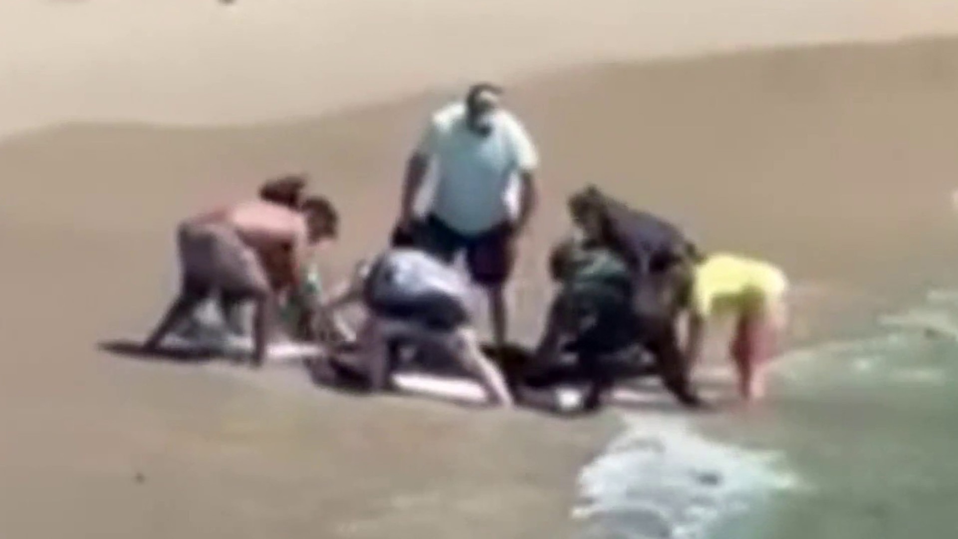 Watch TODAY Excerpt: Swimmer suffers significant injuries in shark ...