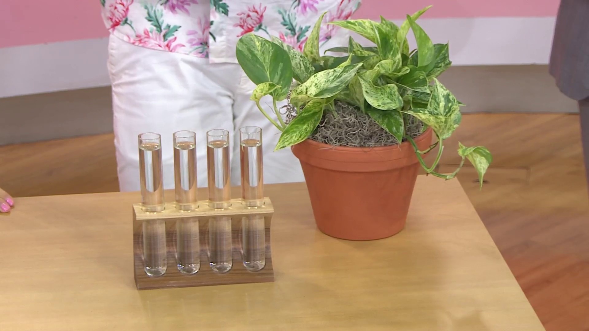 Watch TODAY Excerpt: Plant stylist shows how to use house plants to ...