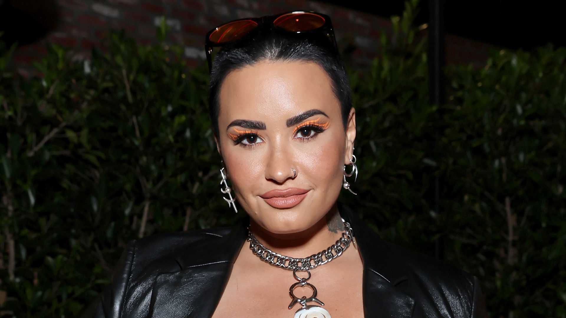 Watch Access Hollywood Highlight: Demi Lovato Is In A 'Happy & Healthy ...