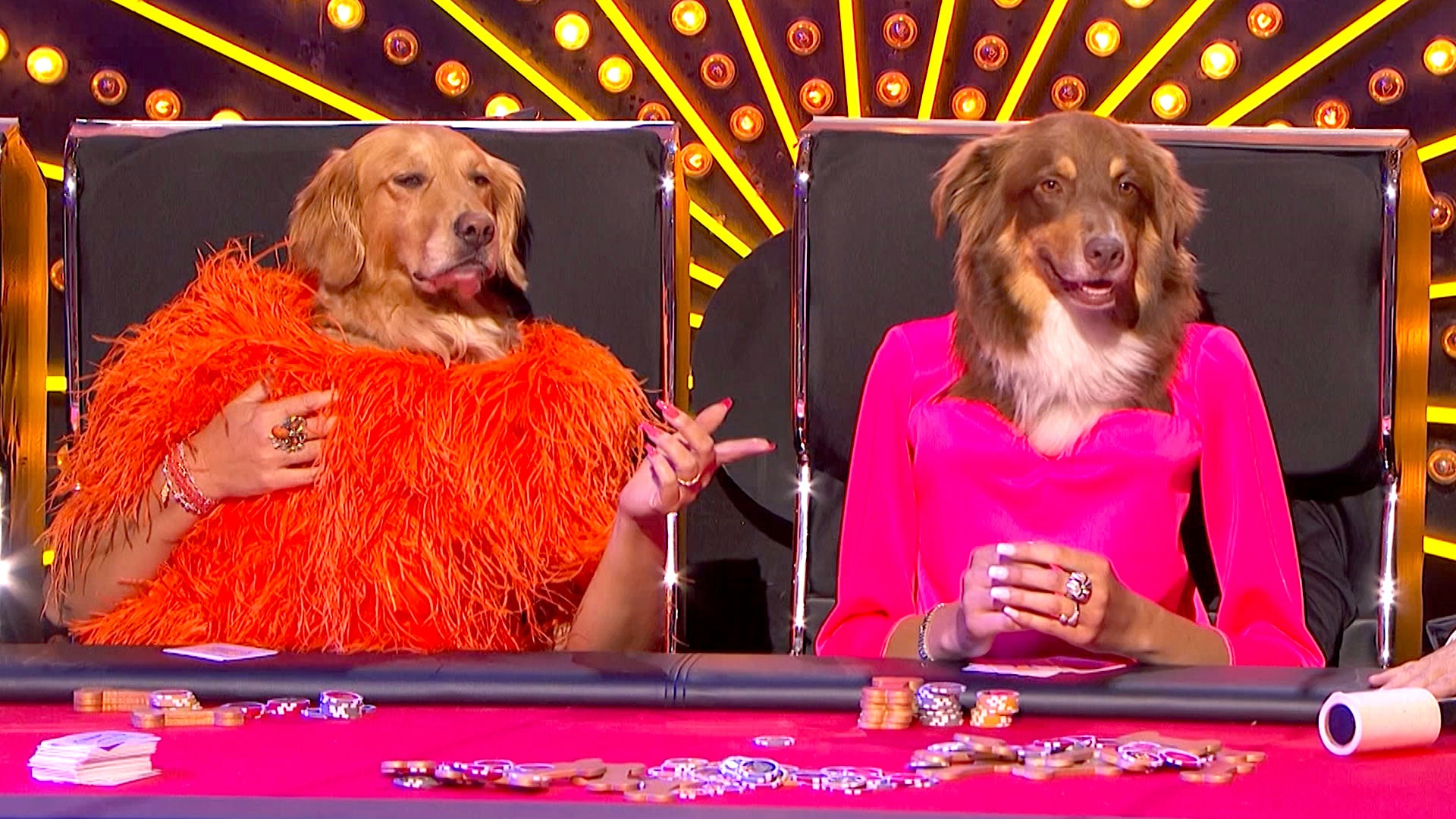 Watch America's Got Talent Highlight: Canine Stars Bring Their Best Dog ...