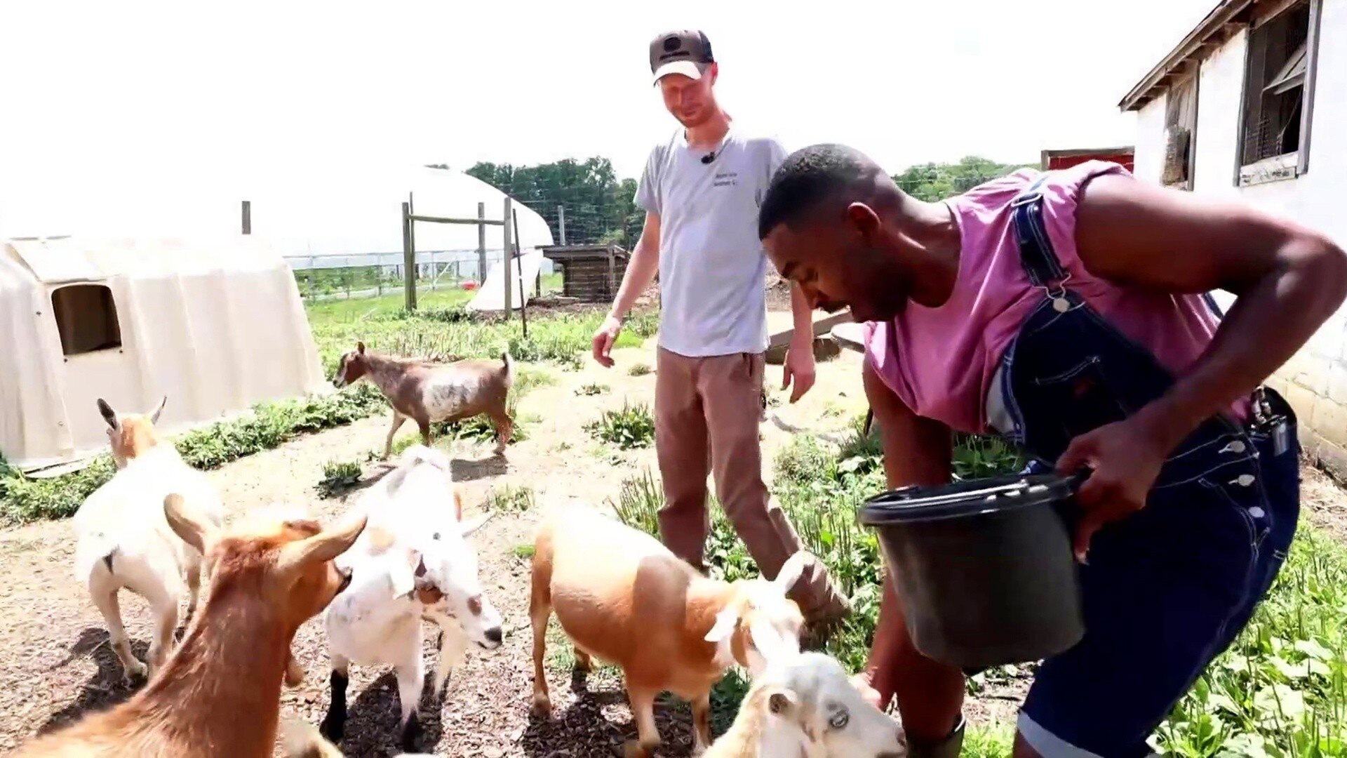 Watch TODAY Excerpt: Justin Sylvester leaves city life behind for a ...