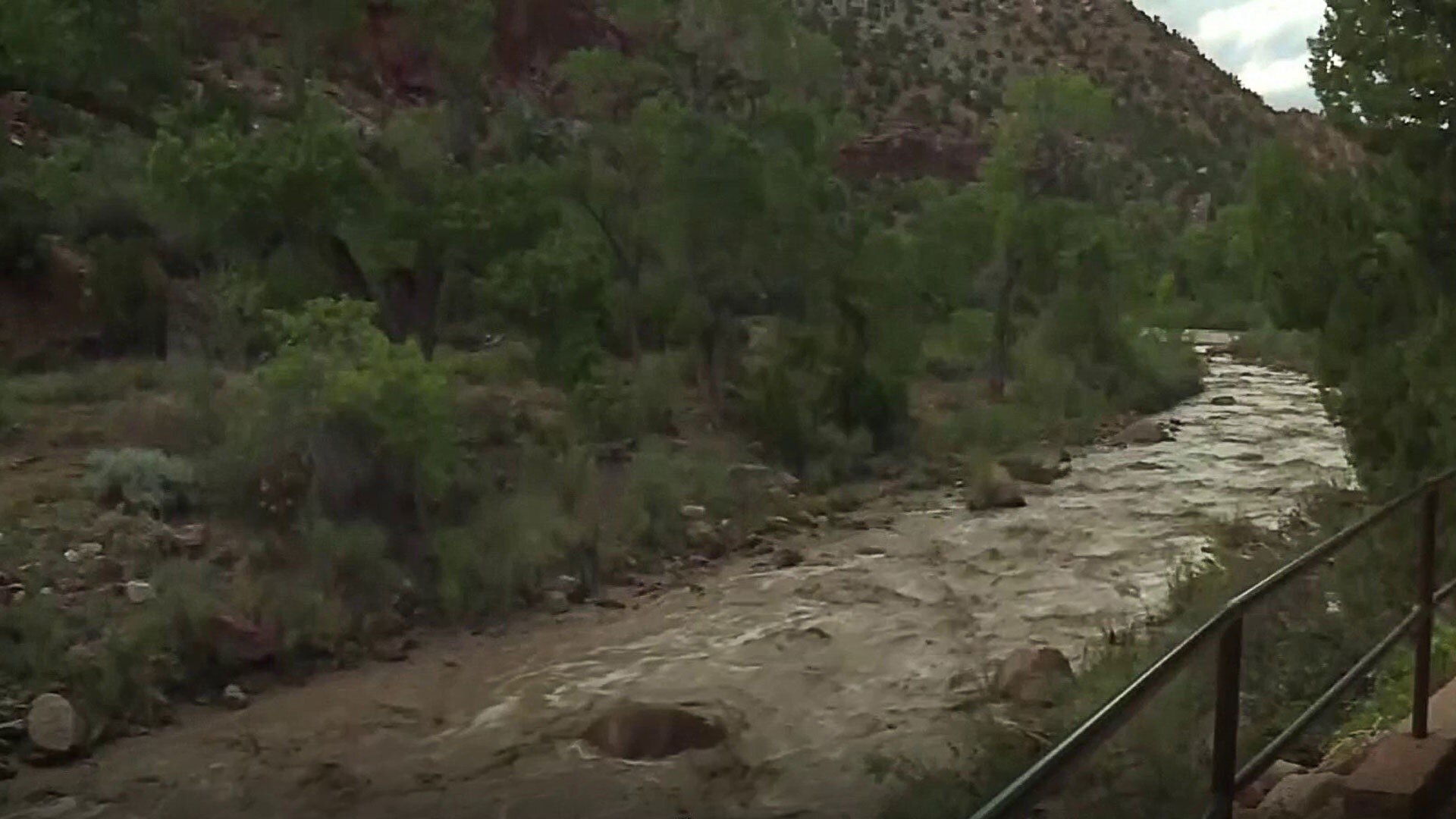 Watch Noticias Telemundo Highlight: Continúa la búsqueda de una mujer ...