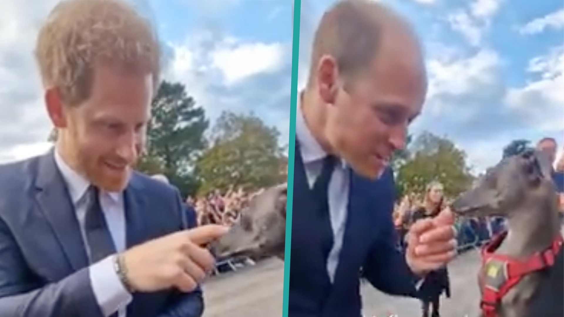 Watch Access Hollywood Highlight: Prince Harry & Prince William Have ...