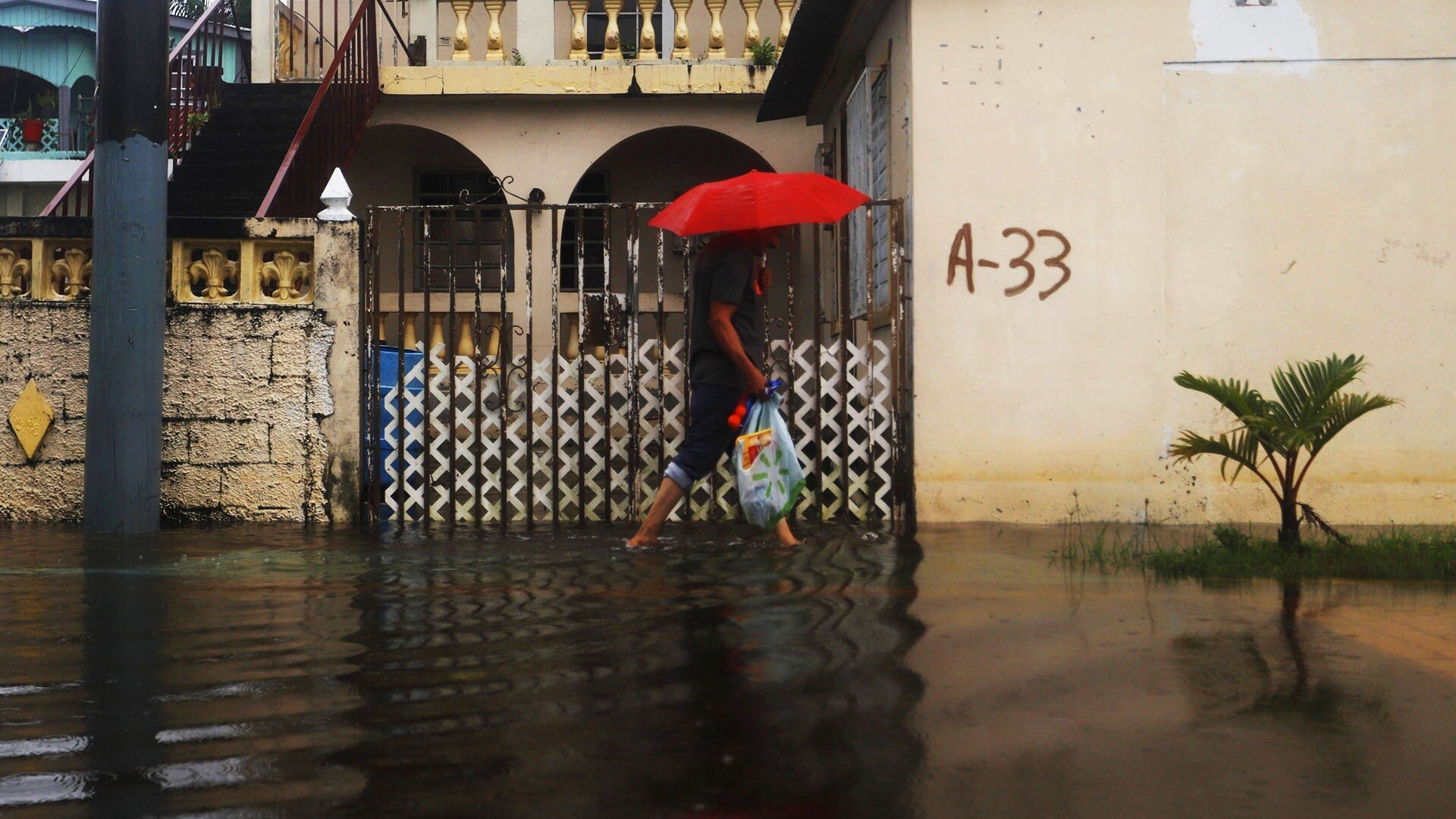 Watch Noticias Telemundo Mediodía Highlight: Muchos de los afectados ...