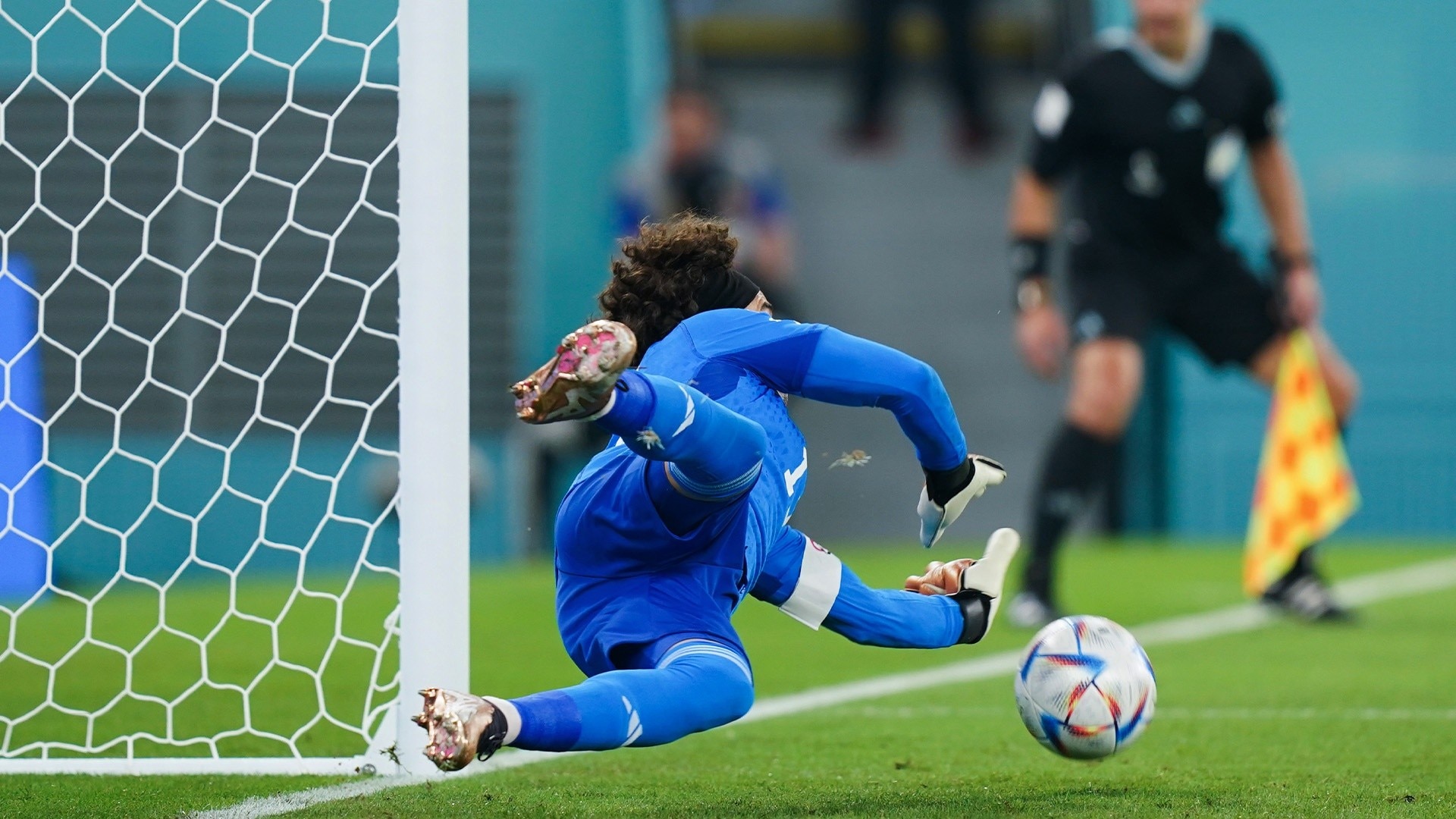 Watch Noticias Telemundo En La Noche Highlight: 'San Memo' y 'Memo del ...