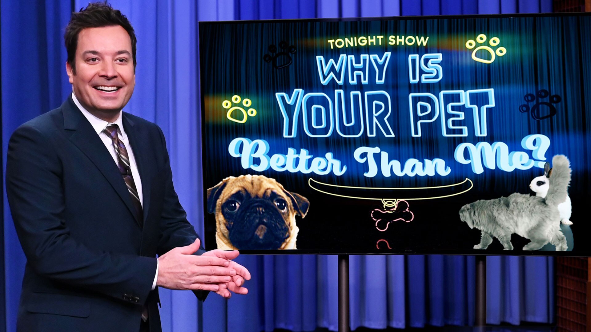 Watch The Tonight Show Starring Jimmy Fallon Highlight: Why Is Your Pet ...