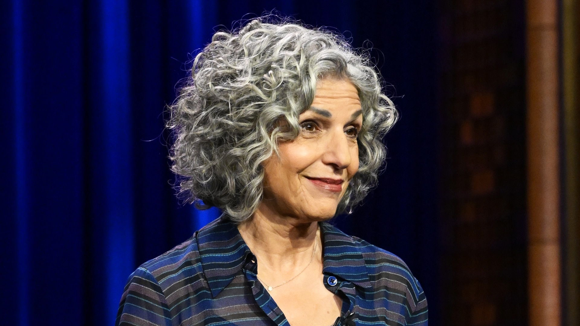 Watch The Tonight Show Starring Jimmy Fallon Highlight: Cathy Ladman ...