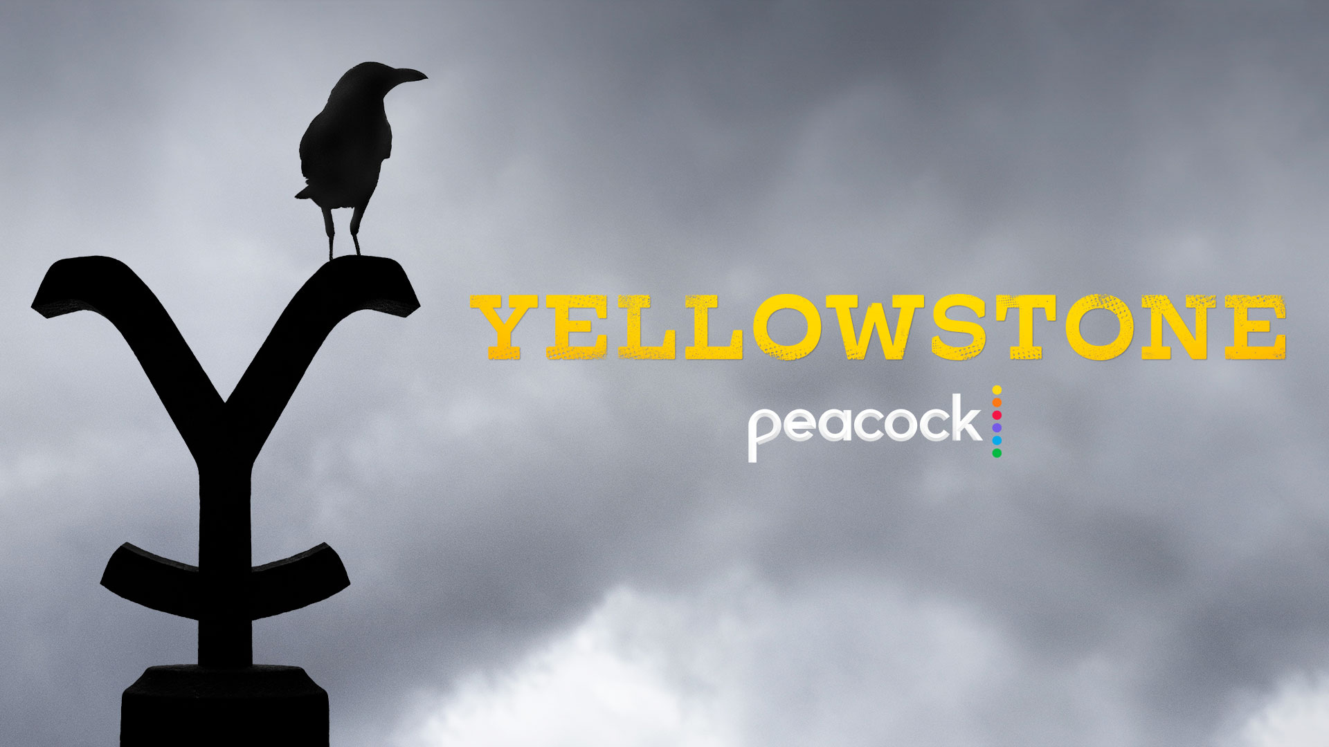 Watch Peacock Trailer: Yellowstone - NBC.com