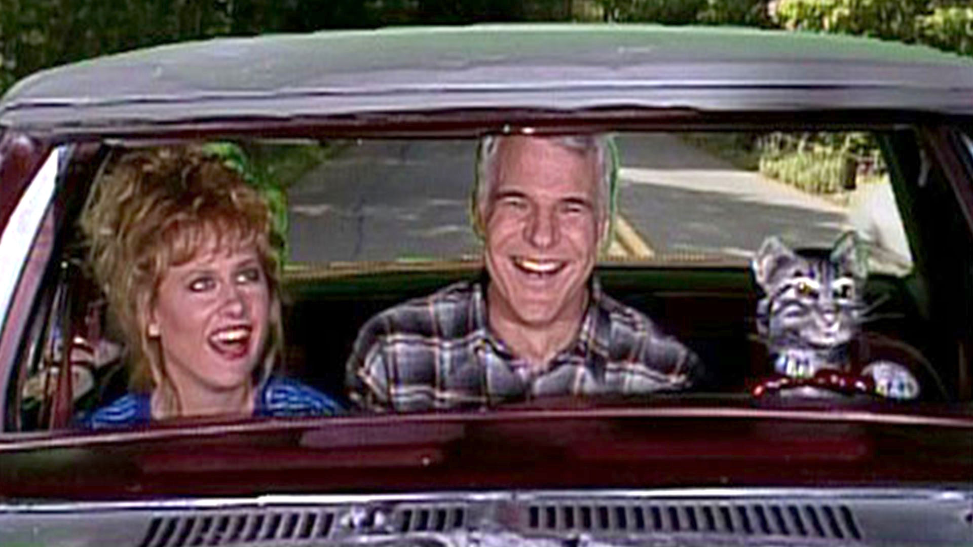 Watch Saturday Night Live Highlight: Toonces The Cat - NBC.com