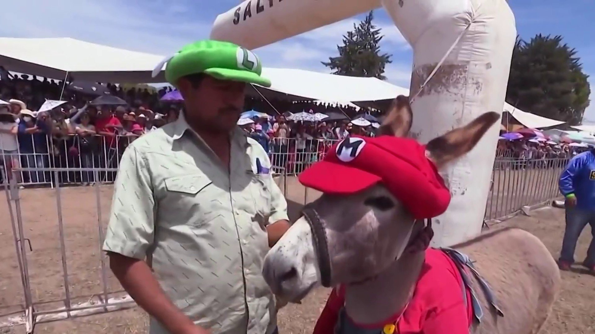 Watch Hoy Día Highlight: Desde Piqué hasta Peso Pluma: realizan ...
