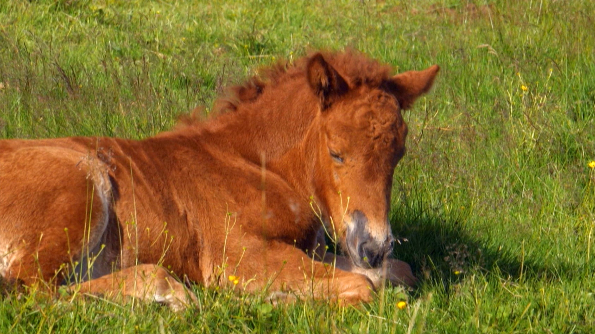 Watch Wild Child Episode: Chilly with the Family - NBC.com